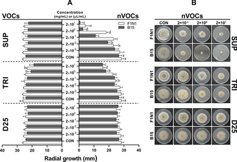 Effect Of Volatile Organic Compounds Vocs And Non Volatile Compounds Download Scientific