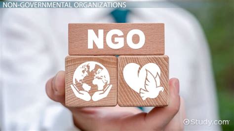 The Role Of Ngos In Sustainability Lesson