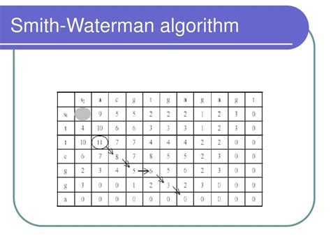Ppt Sequence Alignments In Bioinformatics Lecture By Ms Aqsad Rashda