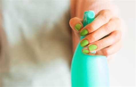 Natural Ways To Keep Spiders Away From Your House Emerson S Envirocare Pest Control