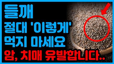 들깨와 절대로 함께 먹지마세요 암과 치매에 걸릴 수 있습니다 들깨 함께 먹으면 보약보다 좋은 3가지와 관절염 무릎통증 싹 사라지는 레시피 들기름 가루 효능 보관법 건강