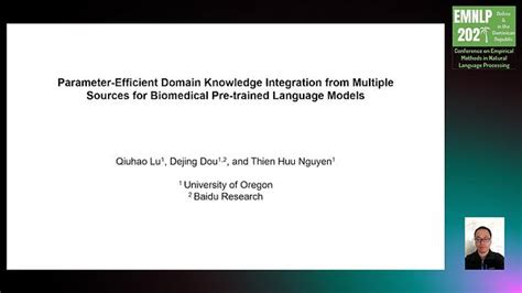 Underline Parameter Efficient Domain Knowledge Integration From Multiple Sources For