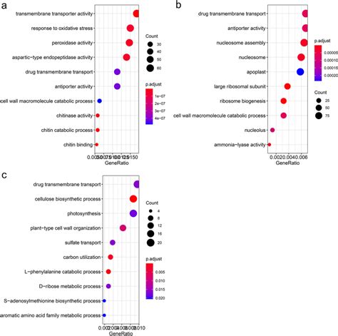Dot Plots Of The Top 10 Gene Ontology Go Terms Using Go Enrichment