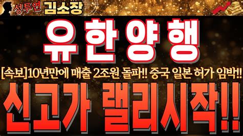 유한양행 주가 전망 10년만에 매출 2조원 돌파 중국 일본 허가 터져나오면 이제부터가 시작입니다 절대 이자리에서