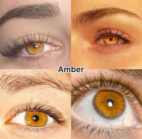 72 Best Amber Eyes Ideas Amber Eyes Beautiful Eyes Pretty Eyes