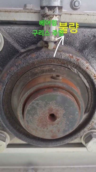 베어링 구리스 주입 Youtube