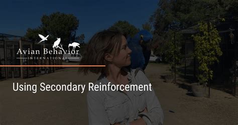 Using Secondary Reinforcement Avian Behavior Lab