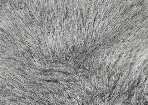 Fotos Fell Textur Über 96000 Hochqualitative Kostenlose Stockfotos
