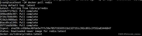 Docker安装redis并挂载配置文件docker Redis 配置文件挂在成文件夹了 Csdn博客