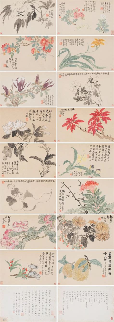 吴大澂仿古花卉十六帧册凤凰网