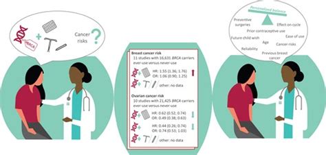 Contraceptives And Cancer Risks In Brca1 2 Pathogenic Variant Carriers A Systematic Review And