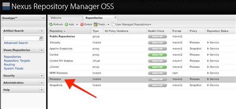 How To Make A Repository Read Only In Sonatype Nexus 2 David Merrick