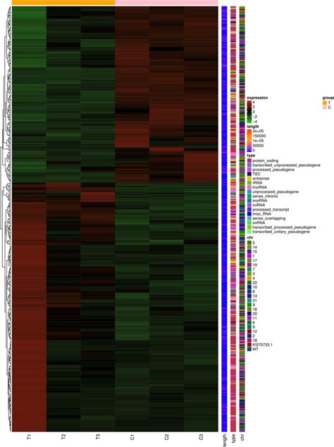 Heat Map Of Differentially Expressed Genes 8 H After Compression
