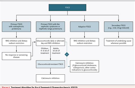 Figure 4 From Focal Segmental Glomerulosclerosis Semantic Scholar