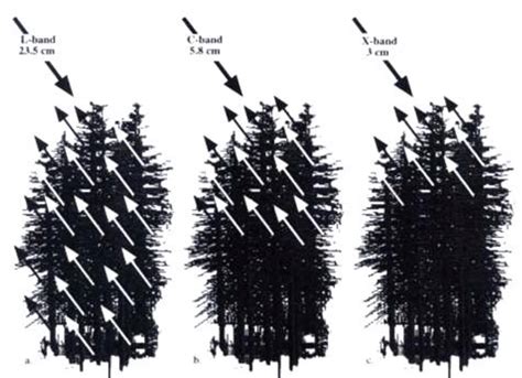 Wavelengths The Arrows Indicate The Penetration Capacity Of The X C Download Scientific