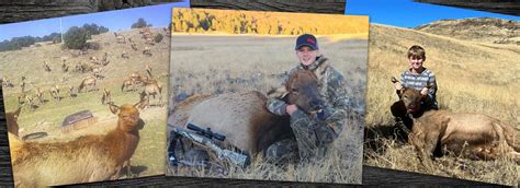 Cow Elk Hunts In New Mexico Affordable Elk Hunts Nm