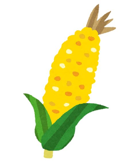 とうもろこしのイラスト（野菜） かわいいフリー素材集 いらすとや