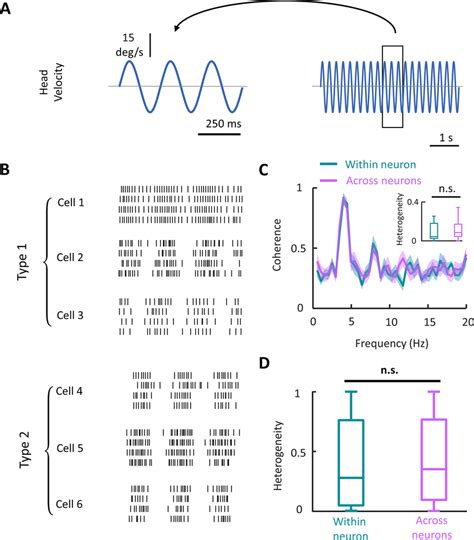 Vestibular Nuclei Neural Responses Are Heterogenous During Artificial Download Scientific