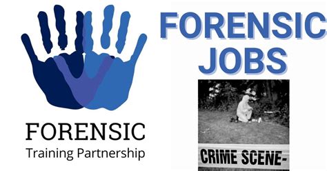 Forensic Jobs Forensic Training Partnership