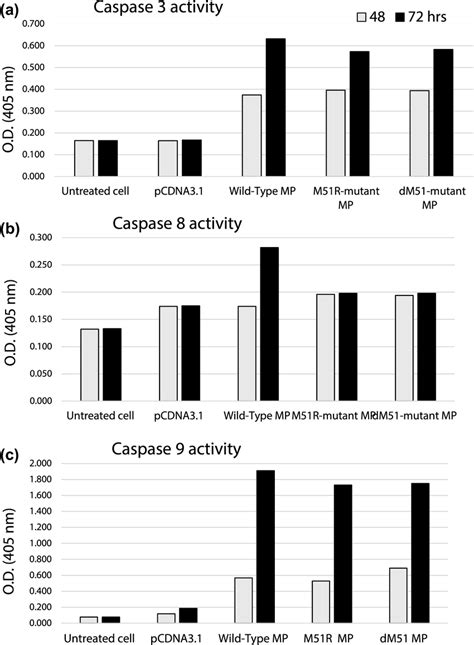 Caspase Activity Assay Of Sw480 Cells Expressing Each Construct A