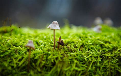 HTML Tester Utilities Dynamics Inc