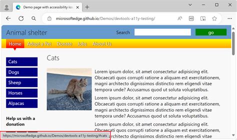 Analyze The Lack Of Indication Of Keyboard Focus Microsoft Edge Developer Documentation