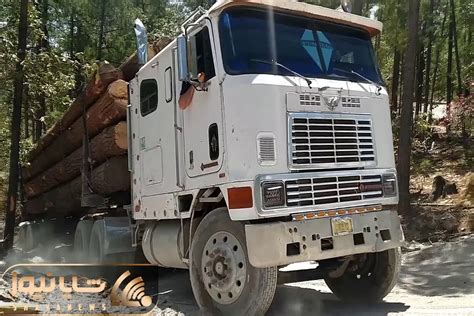 جا به جایی های جانکاه؛ راننده تریلی طویل رو با چه مهارتی از جاده باریک جنگلی عبور داد