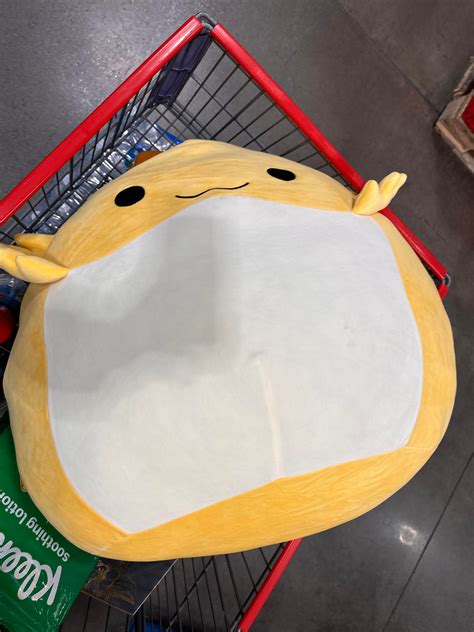 Squishmallow From Costco Has Allowed Me To Feel Joy Again R Costco