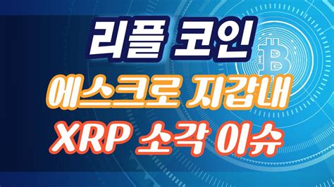 리플 전망 리플 코인 에스크로 지갑내 Xrp 소각 이슈 6~11월 매매전략 체크 Youtube