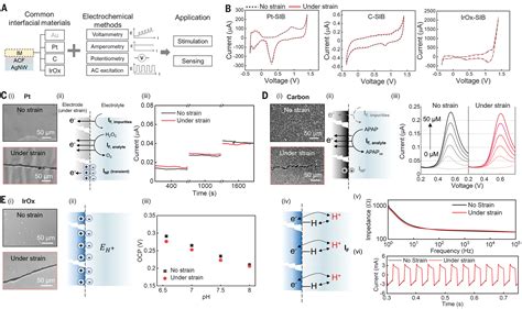 Soft Strain Insensitive Bioelectronics Featuring Brittle Materials