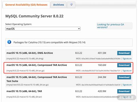 Mybatis源码环境搭建及整体架构解析mybatis源码下载步骤 Csdn博客