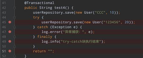 Constraintviolationexception最后不也抛出了，为什么没被catch到？ 程序猿dd