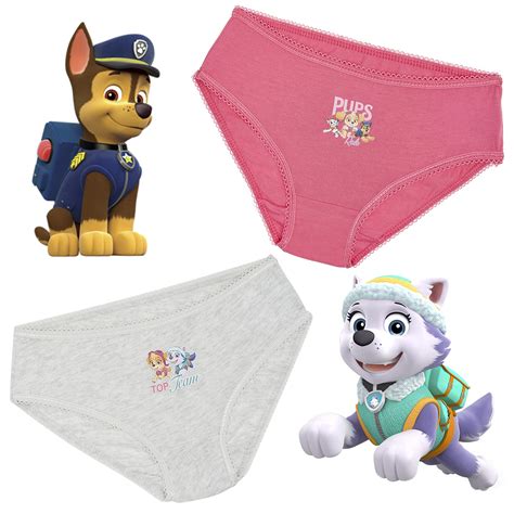 Paw Patrol Girls Knickers Pack Of Girls Pants With Mighty Pups Chase