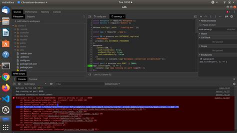 Node Script Debugger Aposup