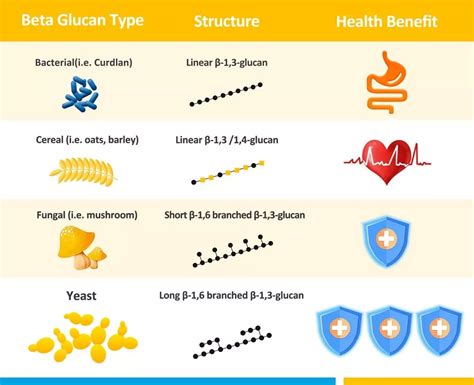 Beta Glucan Hoạt Chất Tăng Cường Miễn Dịch Giảm Cholesterol Tự Nhiên