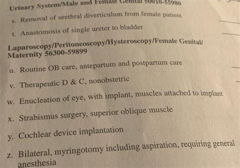 Solved Respiratory System 30000 32999 H Parietal