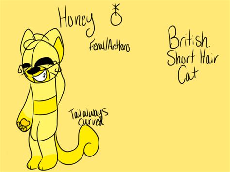 Honey Ref By Pocketthehamster On Deviantart Honey Ref By Pocketthehamster On Deviantart