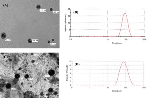 TEM Micrographs And DLS Results Of A And B MP NC P188 And C And D Download Scientific