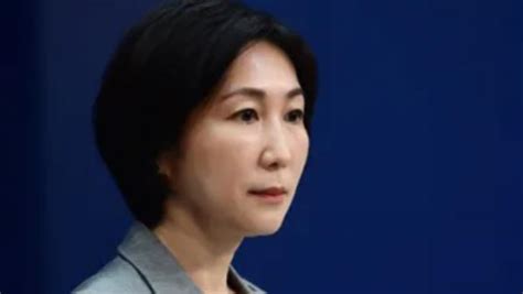 美记者报道指美策划炸毁北溪但美媒罕有报道外交部回应 手机新浪网