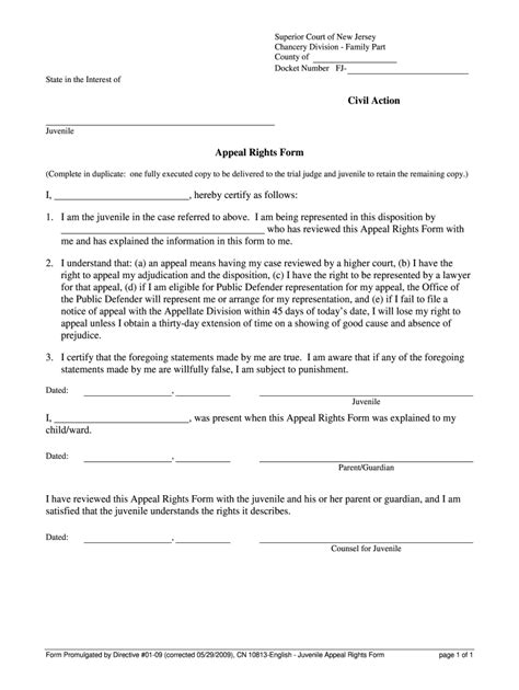 Juvenile Appeal Format Fill Online Printable Fillable Blank