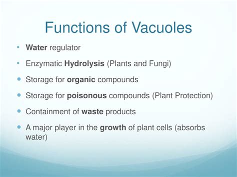 Ppt Vacuoles Powerpoint Presentation Free Download Id2465716