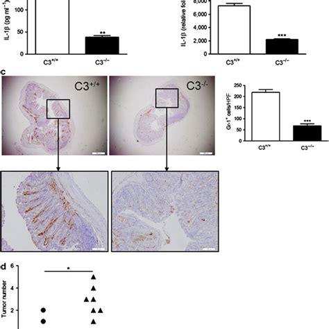 Complement Deficiency Reduces Colitis Associated Cancer Cac