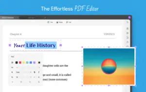 UPDF Review A Fast PDF Editor You Cannot Miss 40 Off