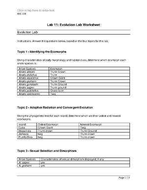 Lab Cell Structure And Function Worksheet Click Or Tap Here To Enter Text BSC Lab