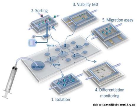 Lab On A Chip Devices For Diagnostics