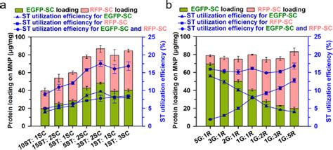 Tunable One Pot Co Immobilization Of Egfp Spycatcher Egfp Sc And Download Scientific Diagram