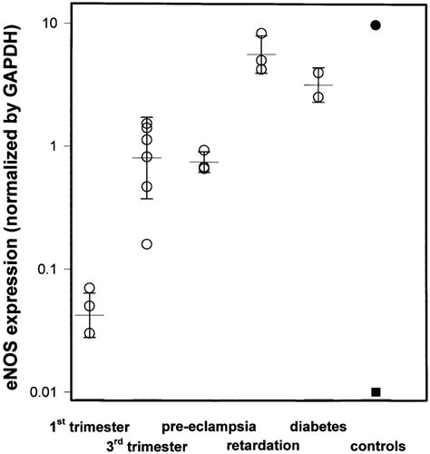 Multiplex Reverse Transcriptase Polymerase Chain Reaction Rt Pcr For Download Scientific