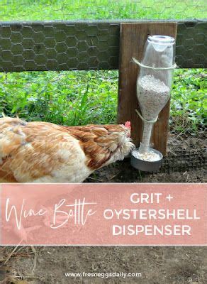 Diy Wine Bottle Chicken Grit Calcium Dispenser Fresh Eggs Daily