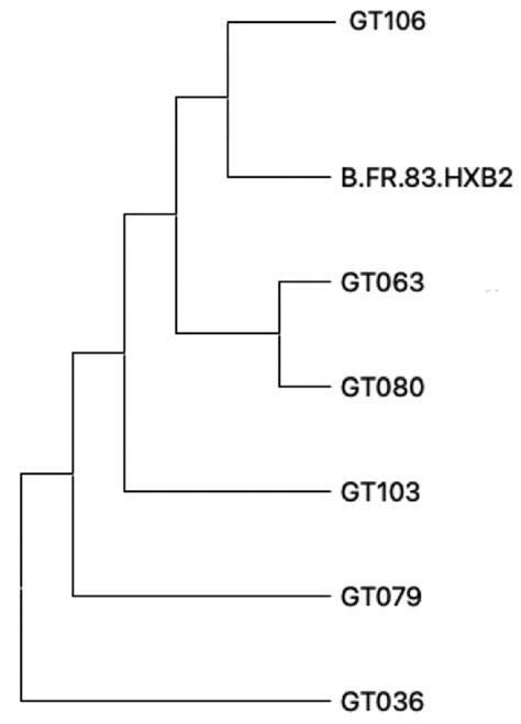 Phylogenetic Analysis Of Female Sex Workers Phylogenetic Download Scientific Diagram