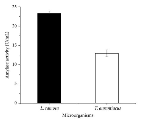 Enzymatic Modifications Of The Corn Starch Molecule A Quantification